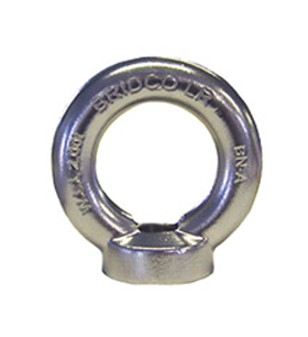 Stainless Steel Load Rated Eye Nut — The Rigging Shop